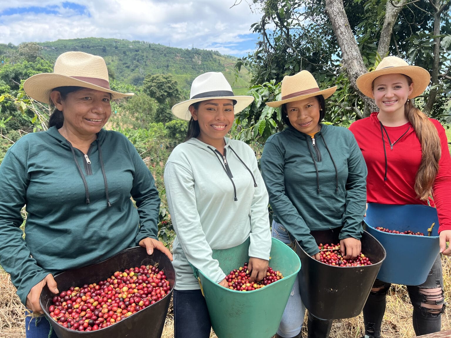 Café Paloma Rivera Colombia: Aromas Exóticos