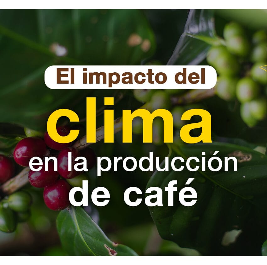 Diferencias entre tostión alta, media y baja. - Cafe Paloma Rivera